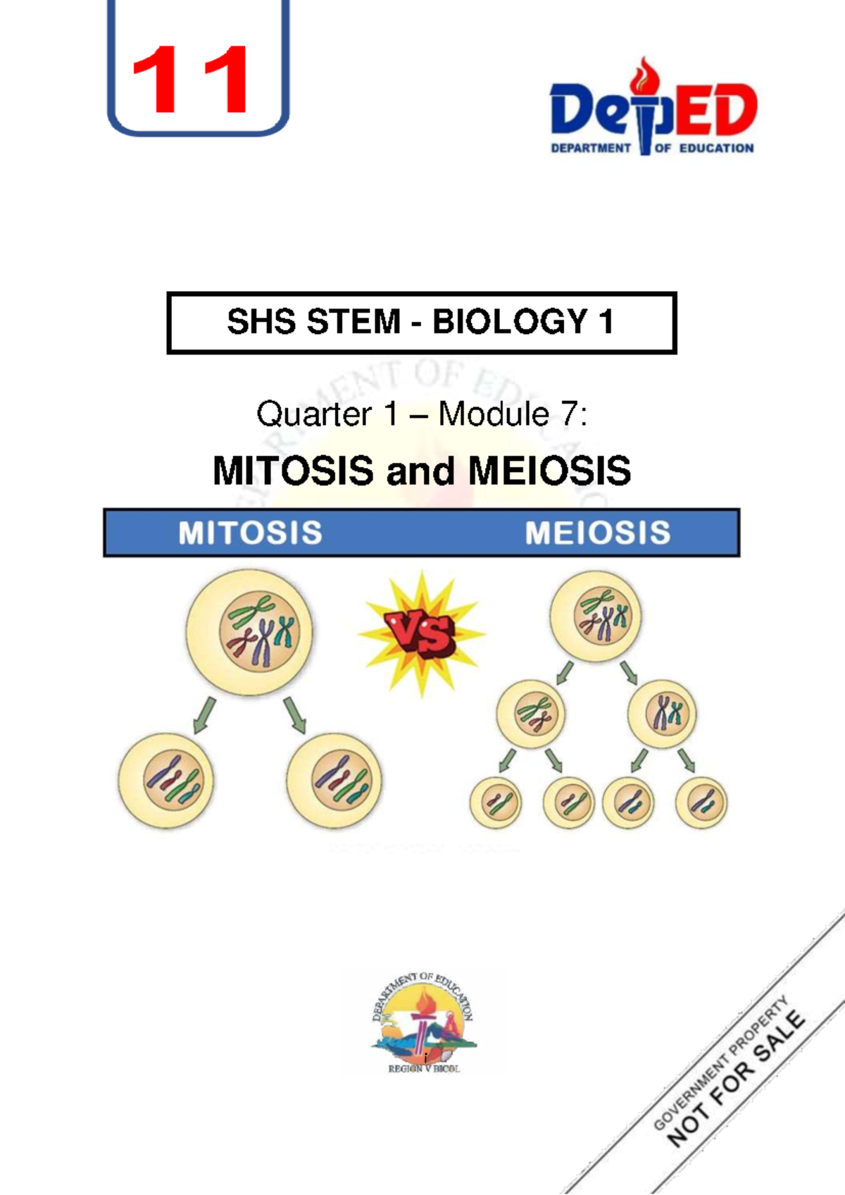 BIO 1 Q1 Module 7: Mitosis and Meiosis Overview and Activities - Studocu