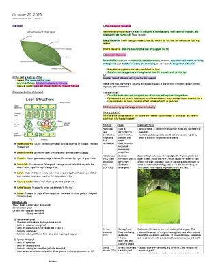 Math May 2024 Paper 2 Solutions - Mathematics - Studocu