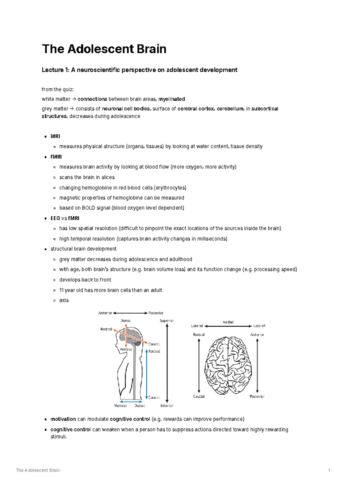 The Adolescent Brain: Lecture Summary (PSY 101) - Insights on ...