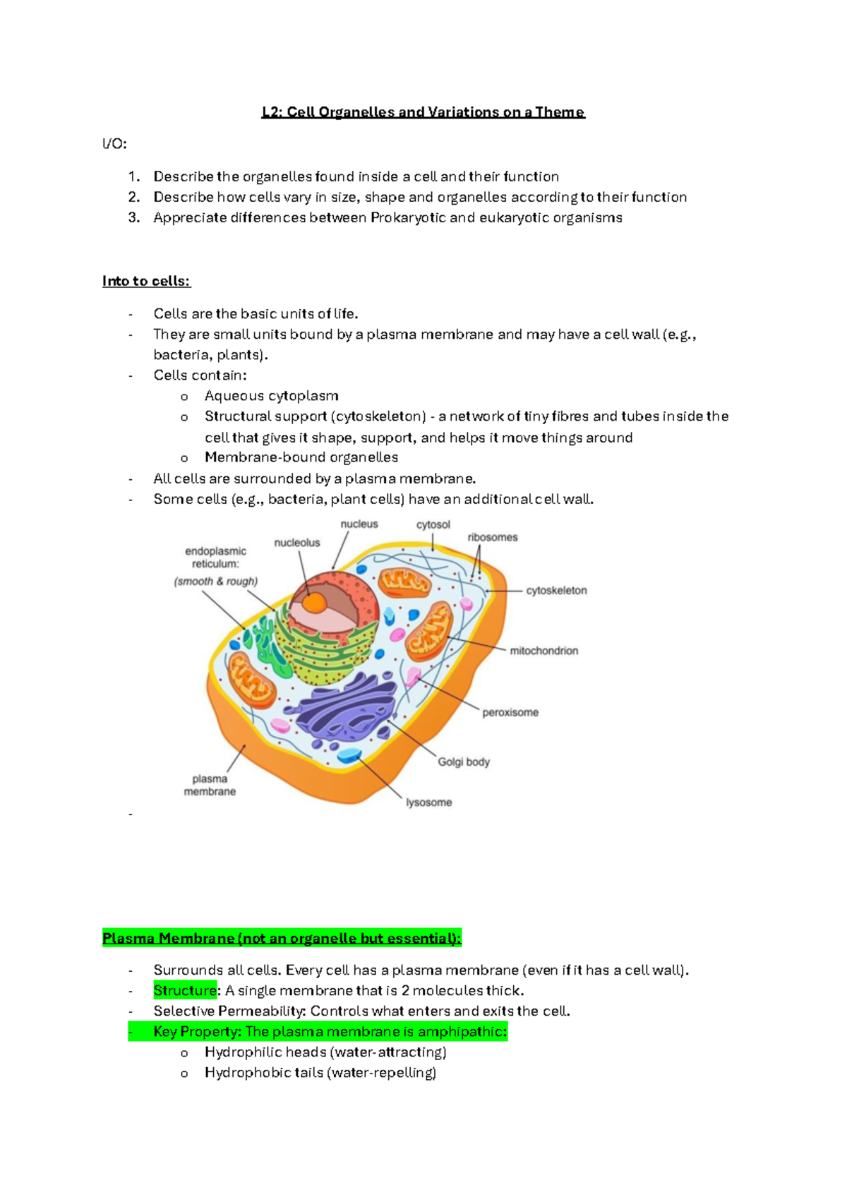 L2 Cells - L2: Cell Organelles and Variations on a Theme l/O: Describe ...