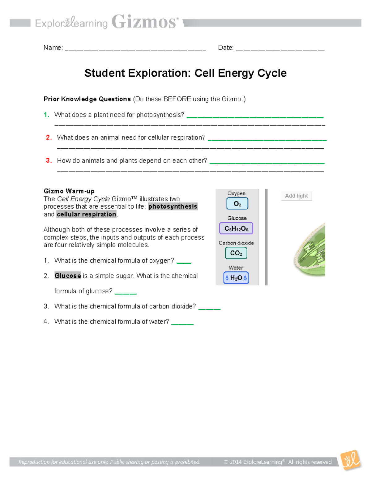 Exploring the Cell Energy Cycle: Photosynthesis & Respiration Lab - Studocu