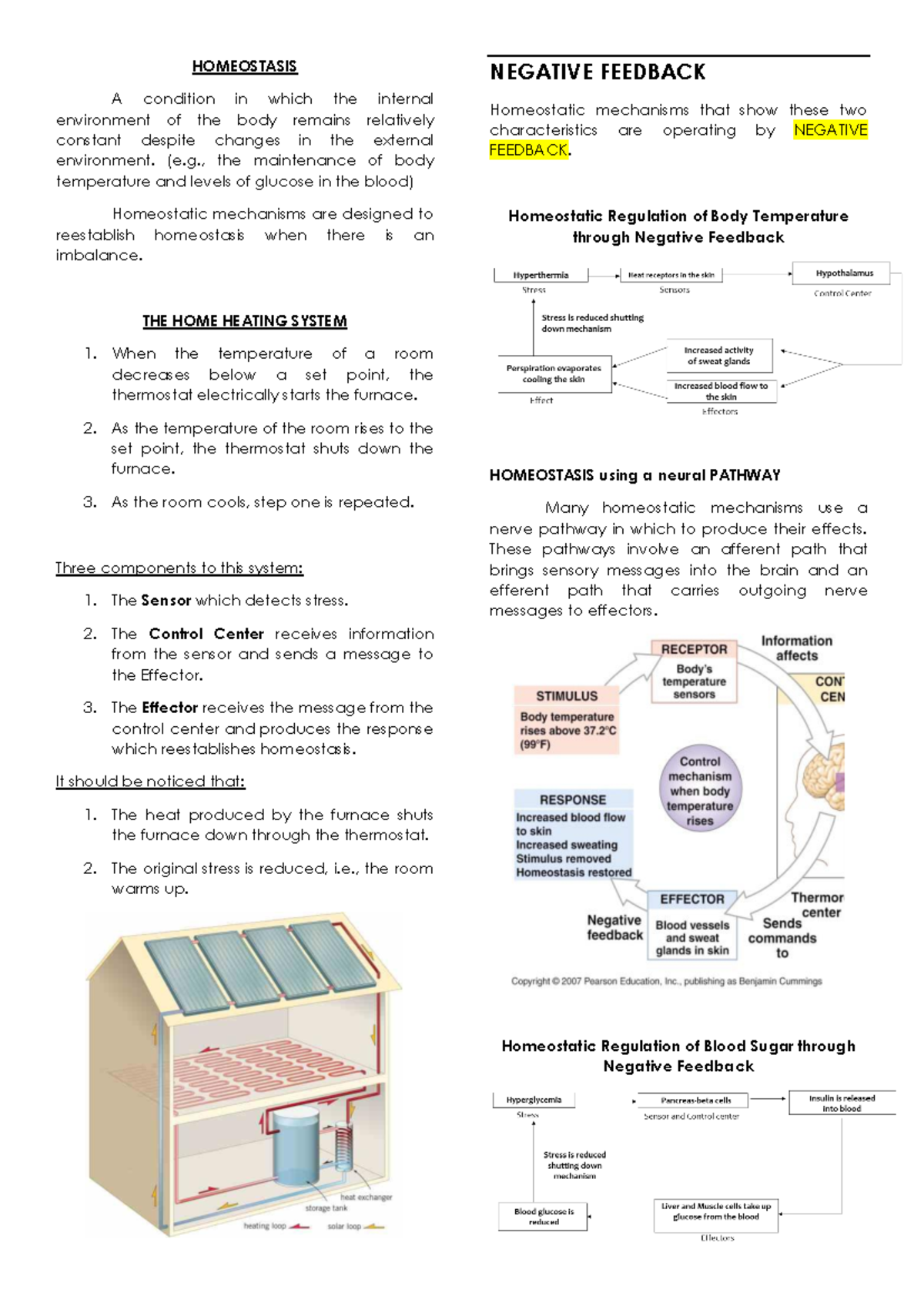 Homeostasis - Lecture Notes on Body Temperature Regulation and Feedback ...