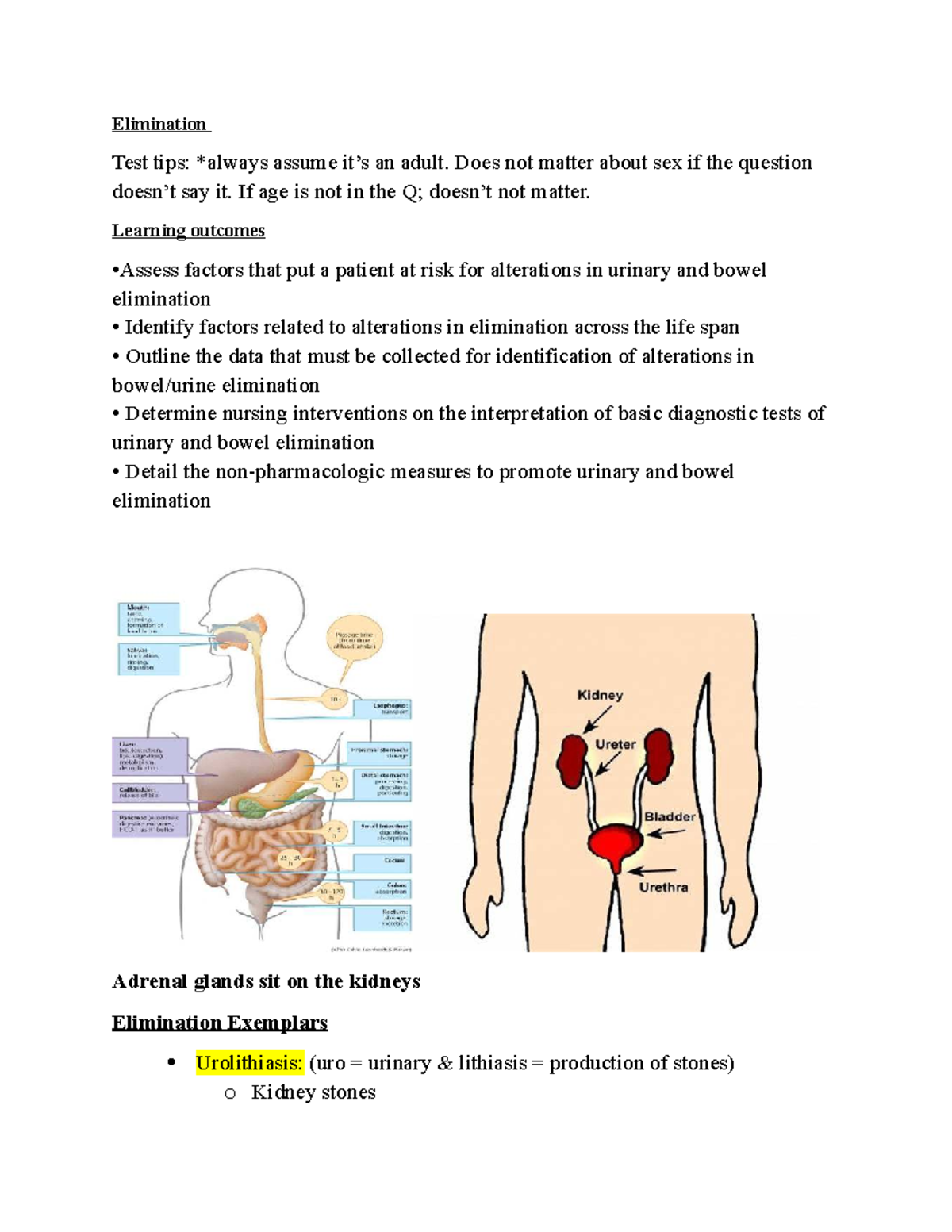 Elimination Nursing Interventions & Risk Factors: JH Final Exam Guide ...