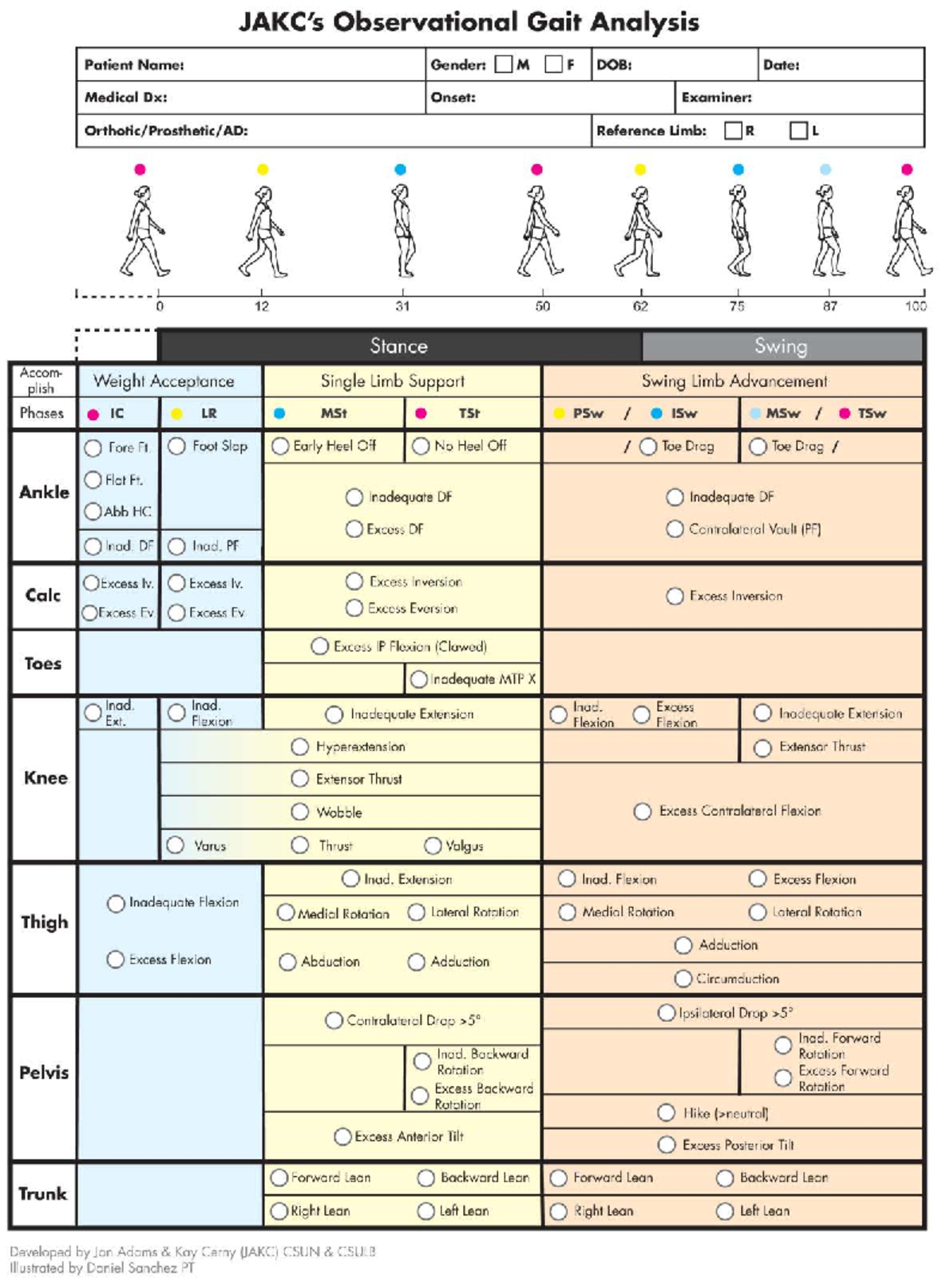 Final Exam Prep: Observational Gait Analysis Insights (Course 12345 ...