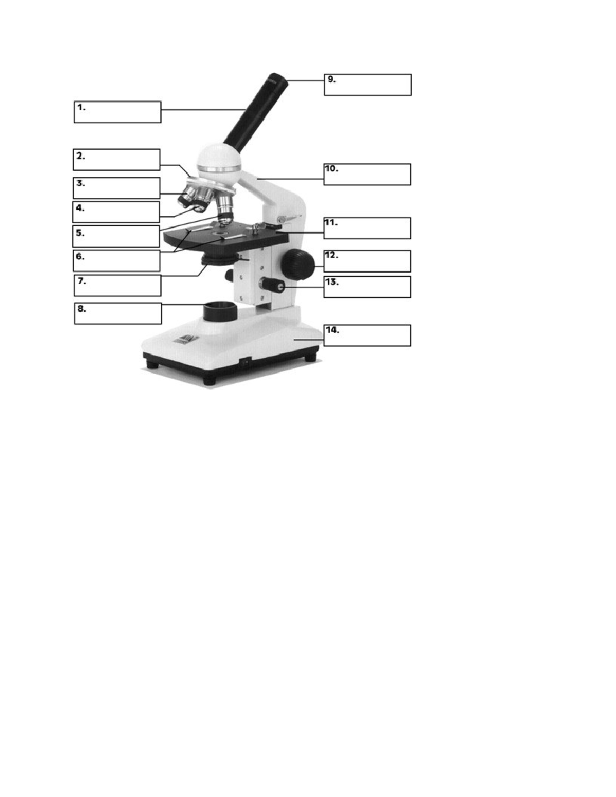 Compound microscope blank - Senior High School - 9. 10. 11. 12. 13. 14 ...