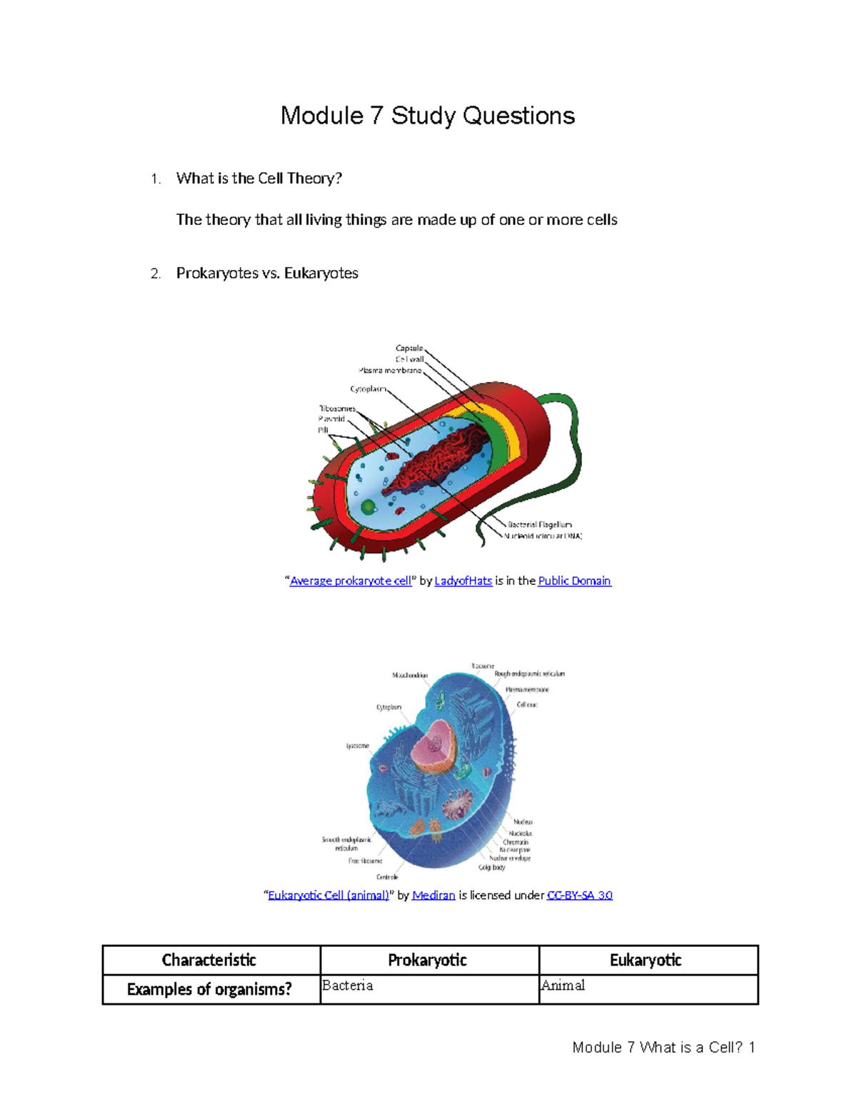 Module 7 Study Questions: Understanding Cell Theory and Organelles ...