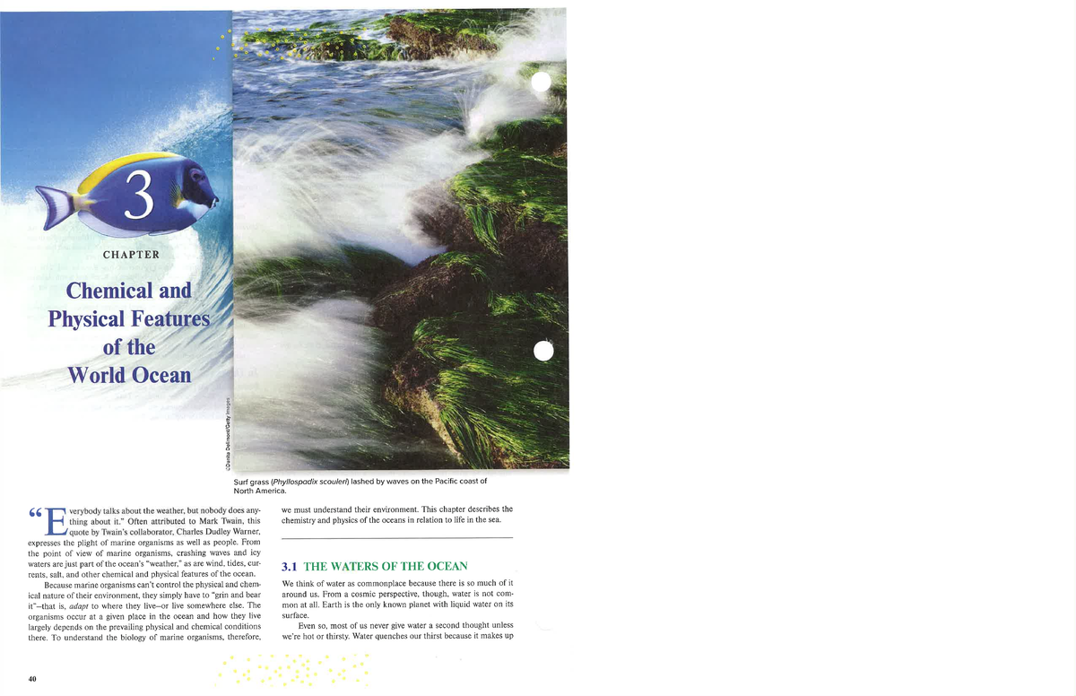 3 CHAPTER Chemical and Physical Features of the World Ocean: Insights ...
