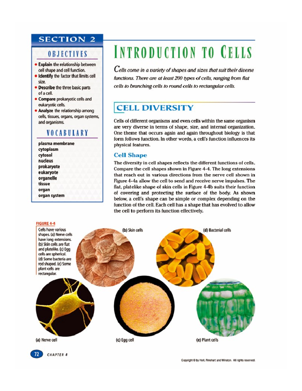 Intro to cells - BS Medical Technology - Studocu
