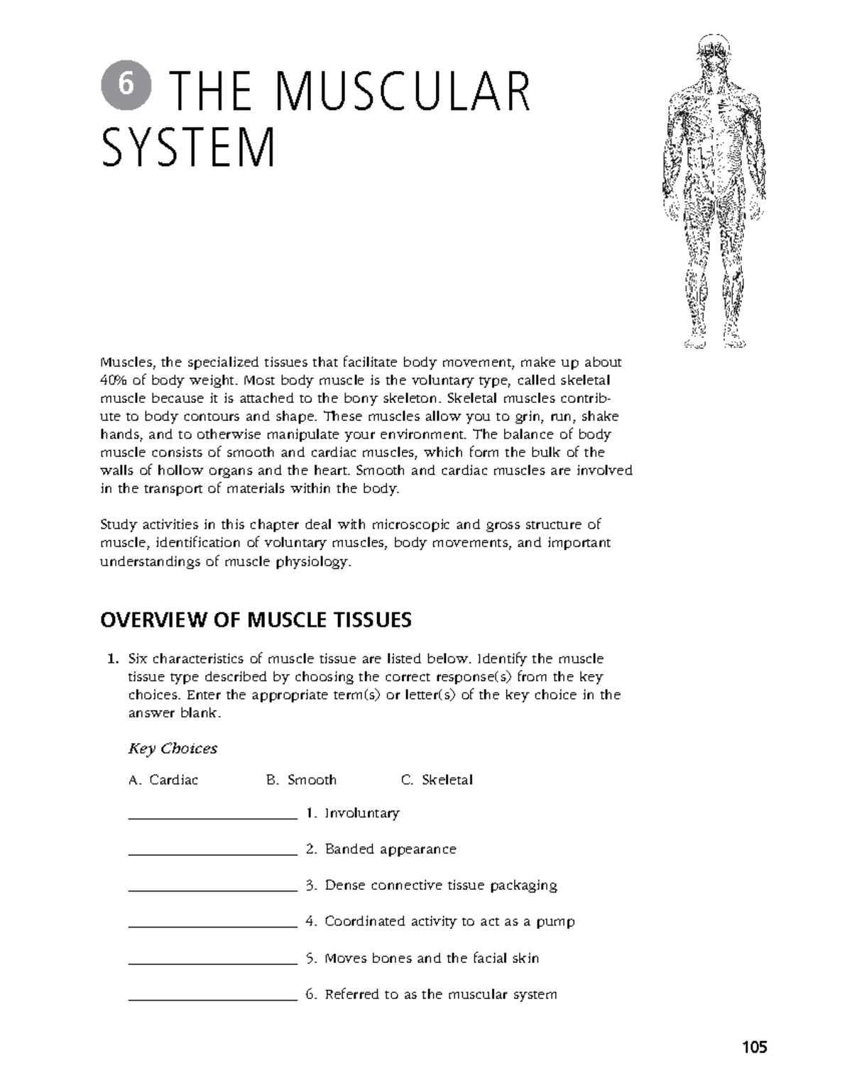 Muscular System Laboratory Activity - Muscles, the specialized tissues ...