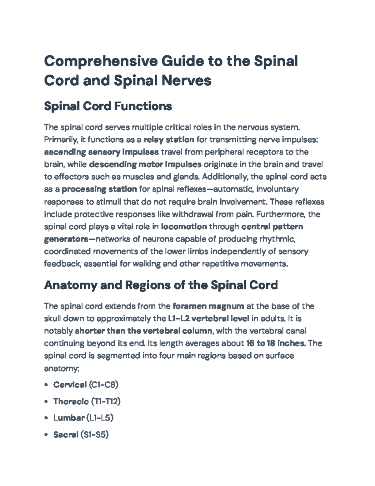 Comprehensive Overview of Spinal Cord & Nerves Functions (BIO 101 ...