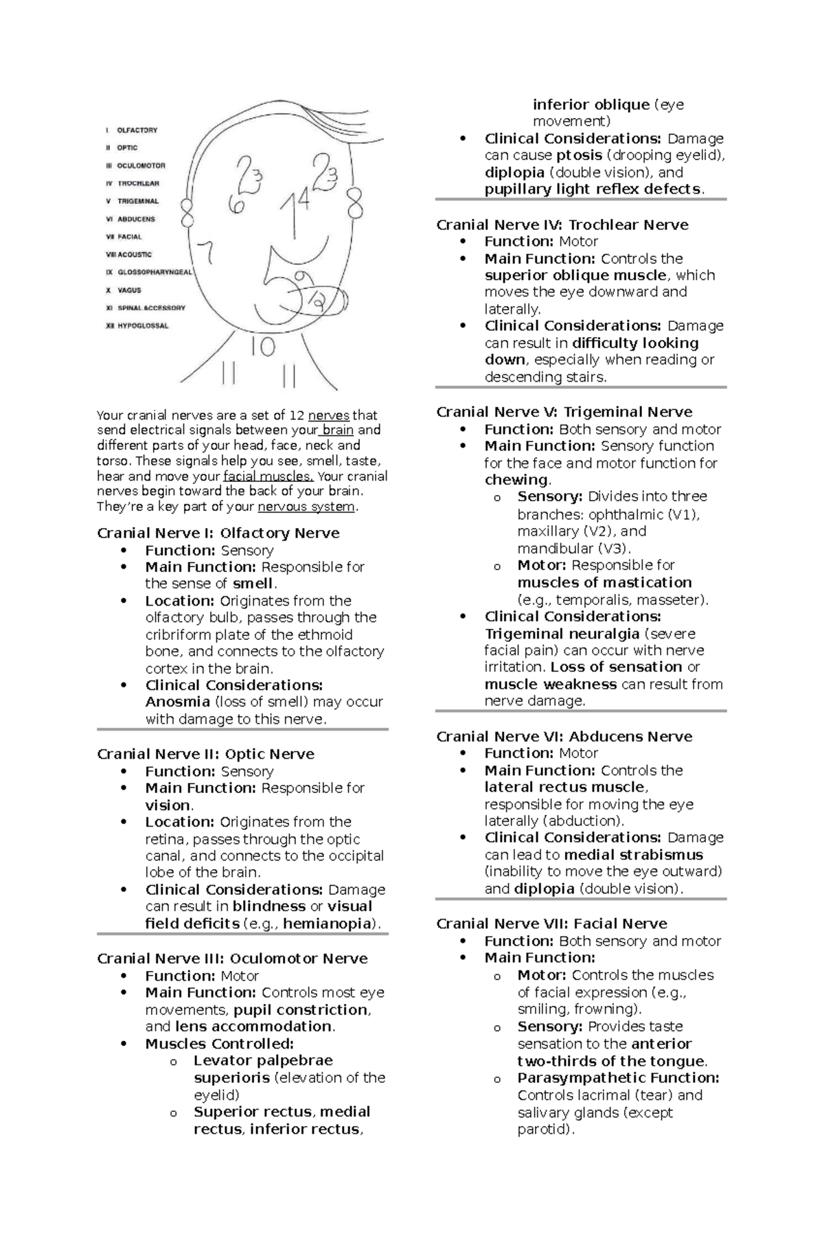 Cranial Nerves ICU - Lecture Notes on Clinical Considerations - Studocu