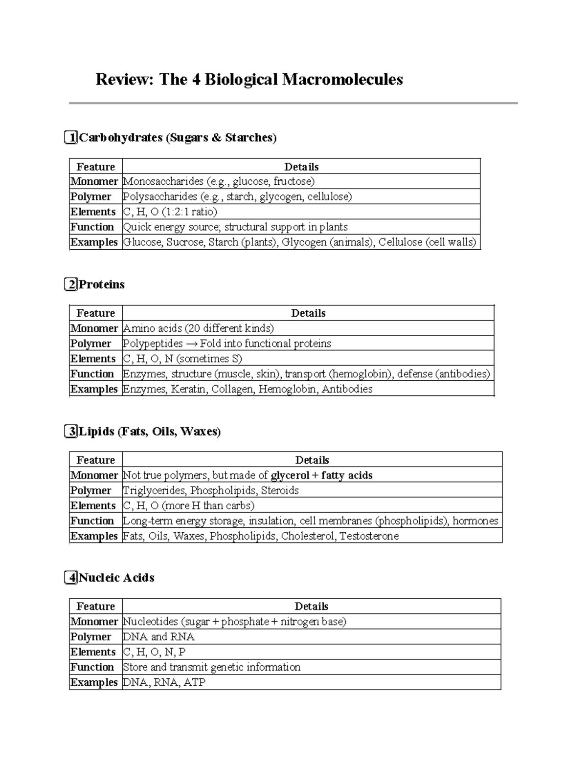 Biological Macromolecules Review: Carbs, Proteins, Lipids, & Nucleic ...