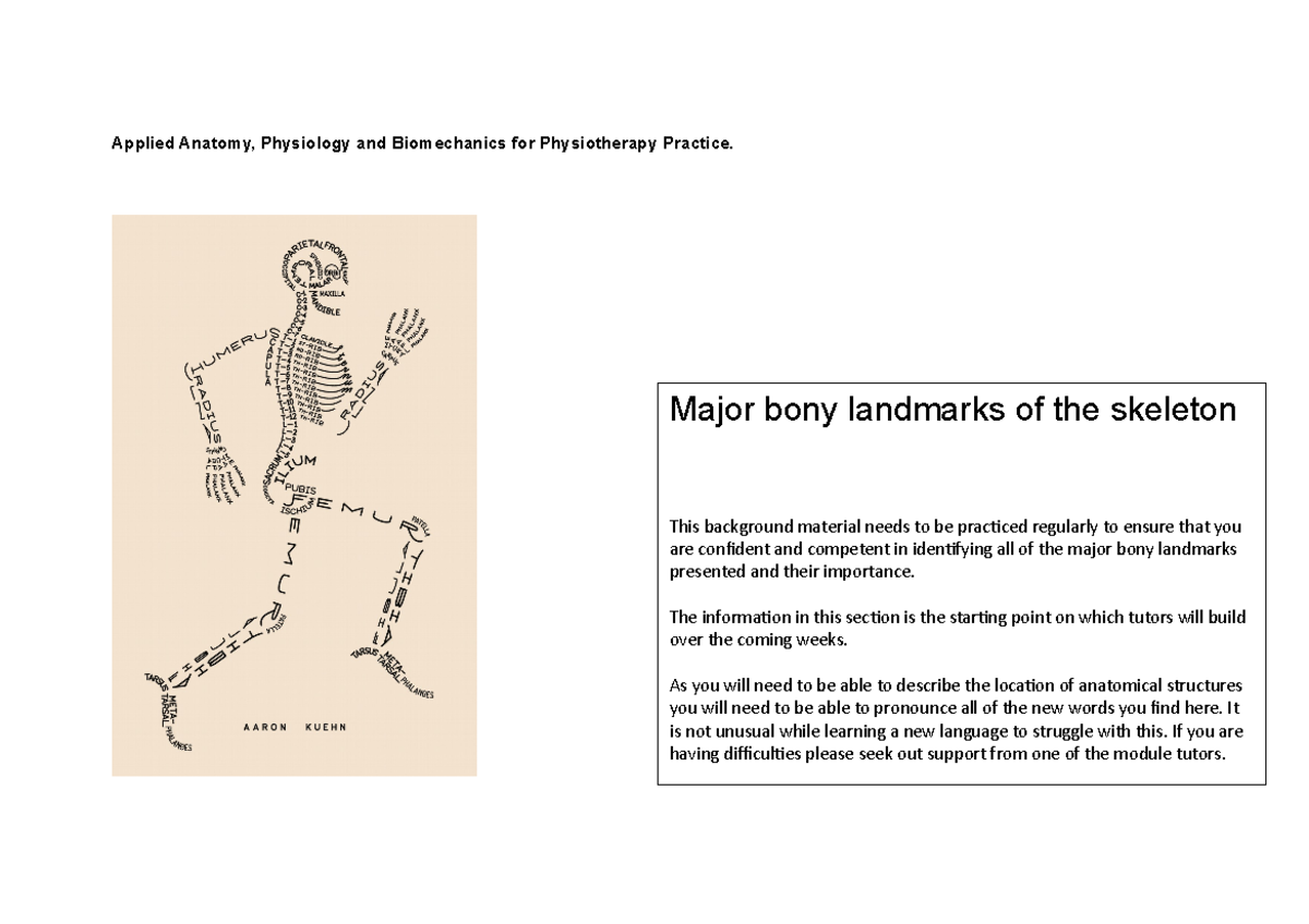 Final Exam Note: Major Bony Landmarks in Applied Anatomy (A&P 101 ...