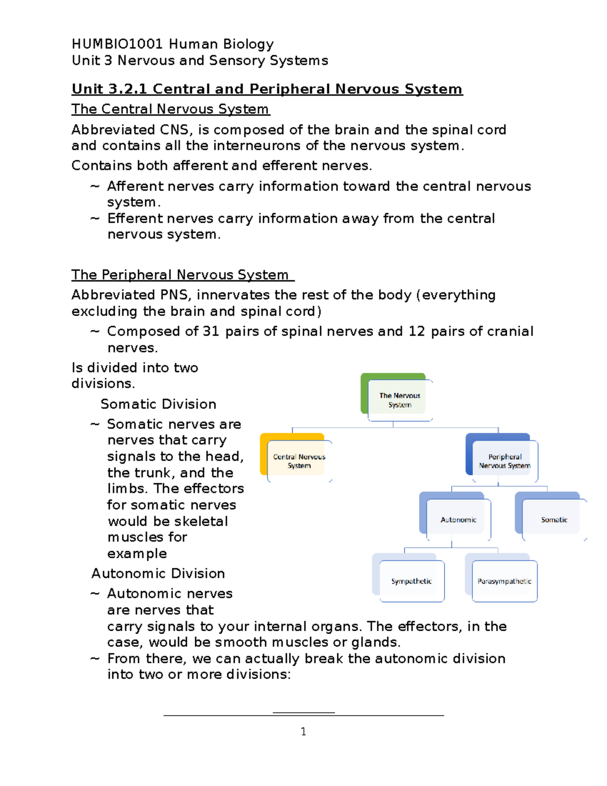 Unit 3 - Unit 3 Nervous and Sensory Systems Unit 3.2 Central and ...