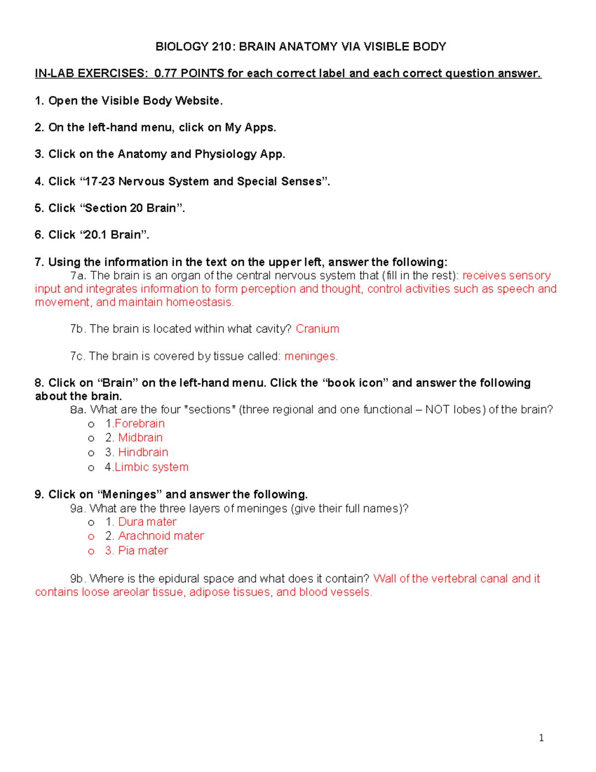 BIO 210 Lab 8 Part 1: Brain Anatomy Overview SP2022 Final Exam - Studocu