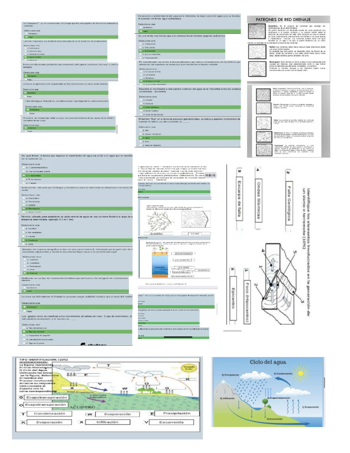 Naturales 3 - Resumen - Ciencias Naturales, Lercer Gyado Básico LECCIÓN). Respuestas de la ...