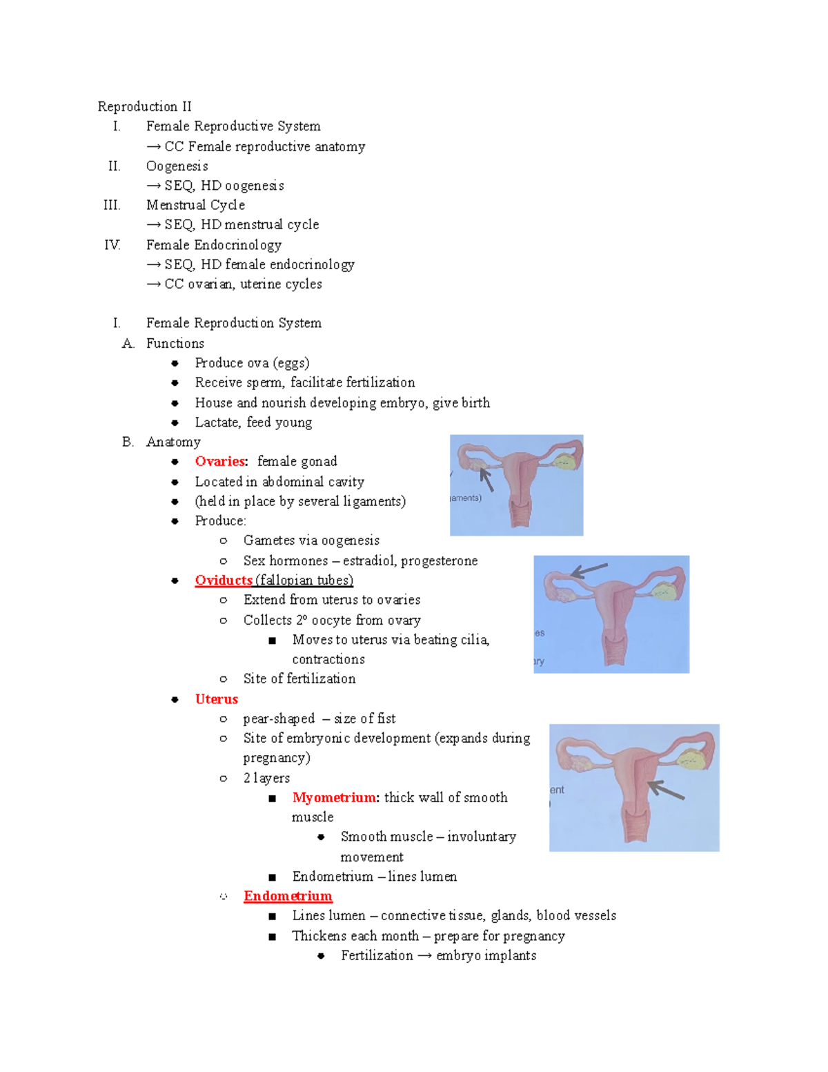 Reproduction II - beal notes - Reproduction II I. Female Reproductive ...