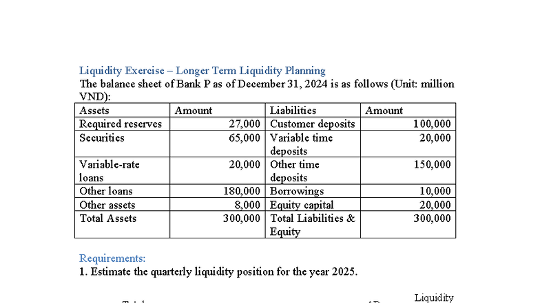 Liquidity Exercise: Long-Term Planning & Q4 Balance Sheet Analysis ...