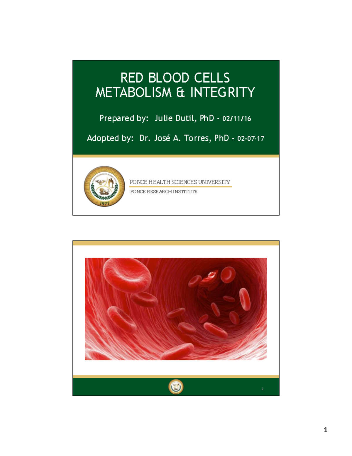 Red Blood Cell Metabolism Integrity: Lecture Slides (PHSU) - Studocu