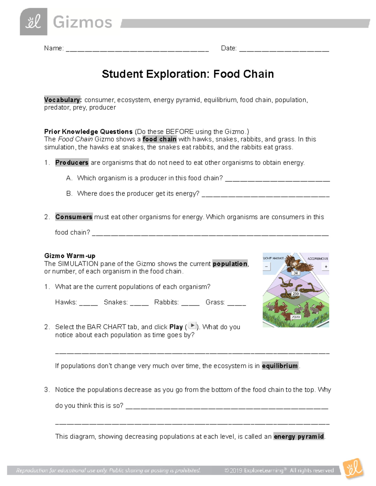 Food Chain SE Assignment: Exploring Ecosystem Dynamics and Interactions ...
