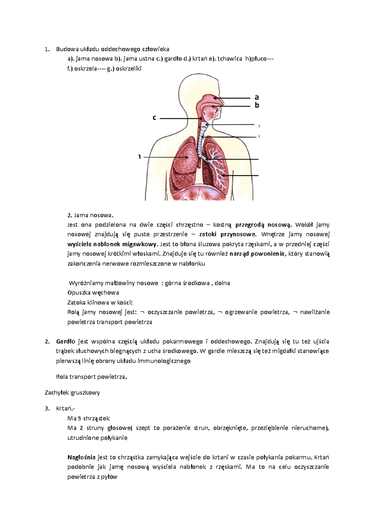 Anatomia układ oddechowy - Budowa układu oddechowego człowieka a). jama ...