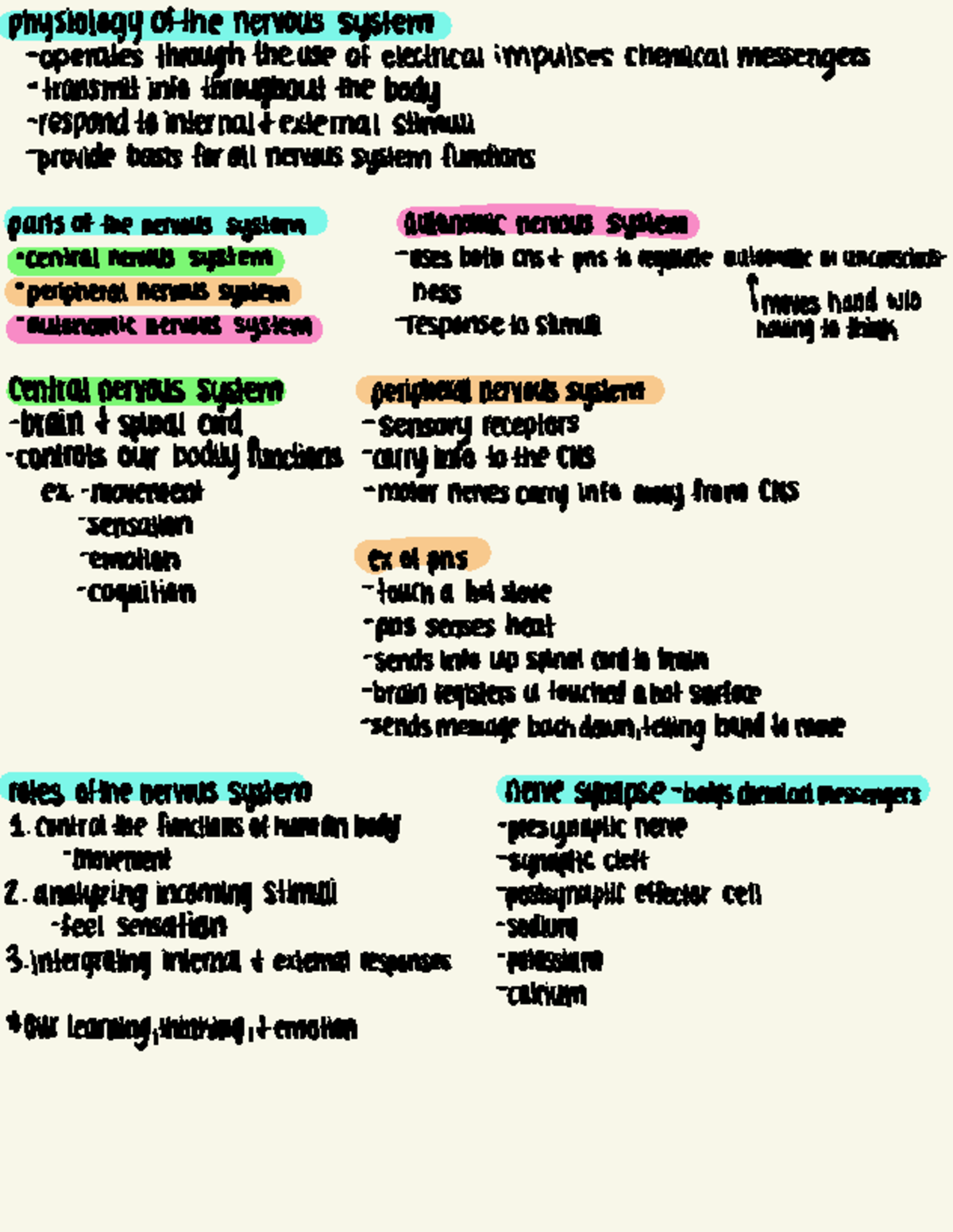 Nervous System Physiology: Functions & Neurotransmitters (BIO 101 ...