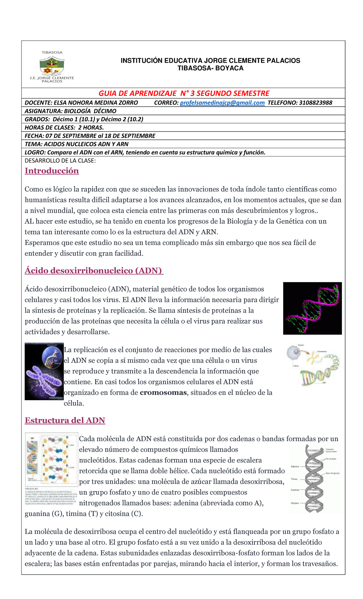 Guía de Aprendizaje: ADN y ARN en Biología Décimo (Guía 3) - Studocu