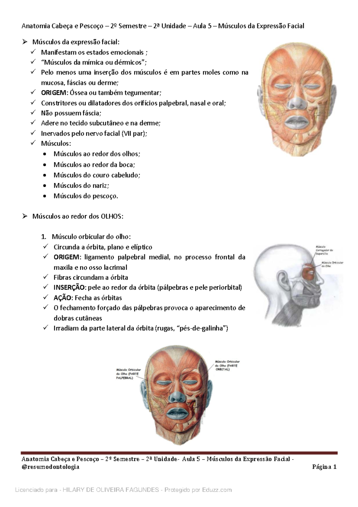 Anatomia Cabeça e Pescoço 2º Semestre - Aula 5: Músculos da Expressão ...