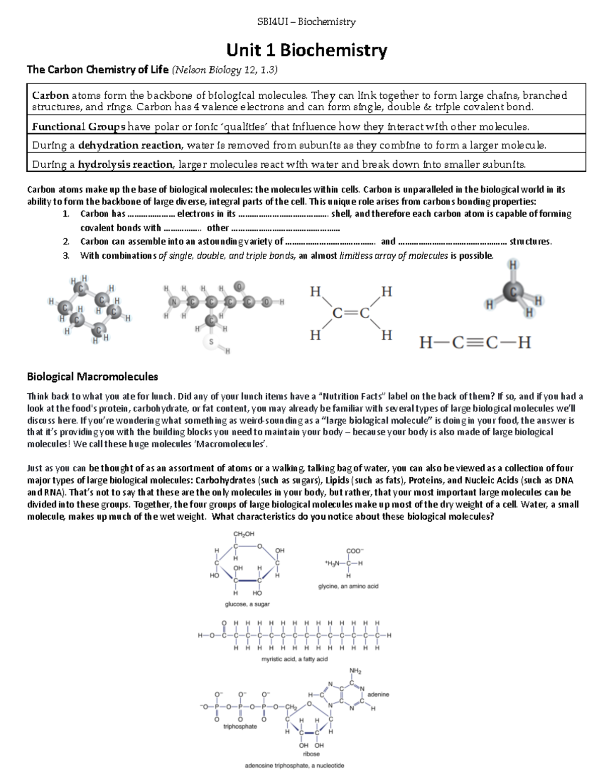 Unit 1: Biochemistry Overview (KRSept 2024) - Studocu