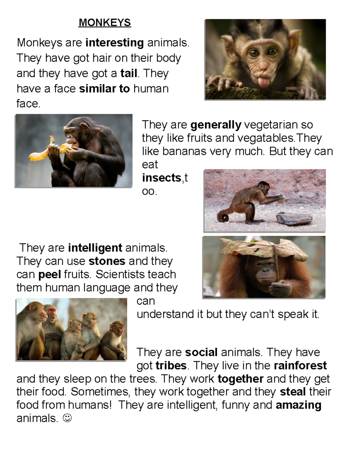 Reading-passage-monkeys-reading-comprehension-exercises 90628 - MONKEYS ...