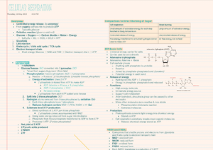 Human Nutrition Notes XL Notes - REVISION: HUMAN NUTRITION 25 JUNE 2014 ...