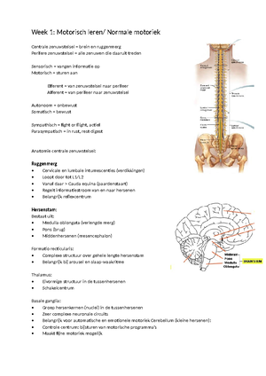 [Solved] Wat is het ASE model Geef 2 voorbeelden van dit model zowel ...
