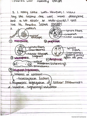 A&P Joints Flashcards - Study online at quizlet/_b7brx articulation ...