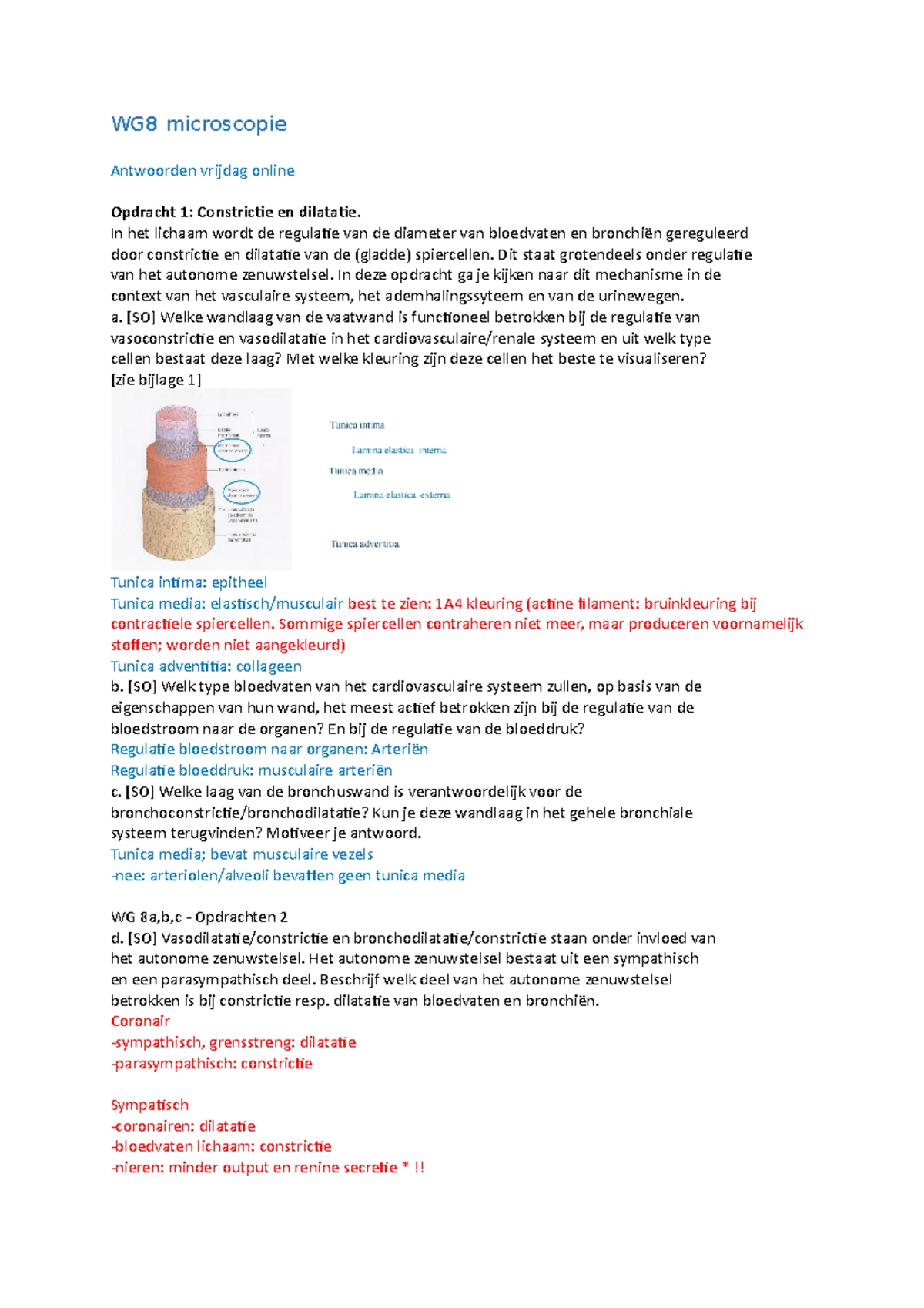 Ecg Interpreteren: Stappen Overzicht en Uitleg - ECG Aflezen Guide ...
