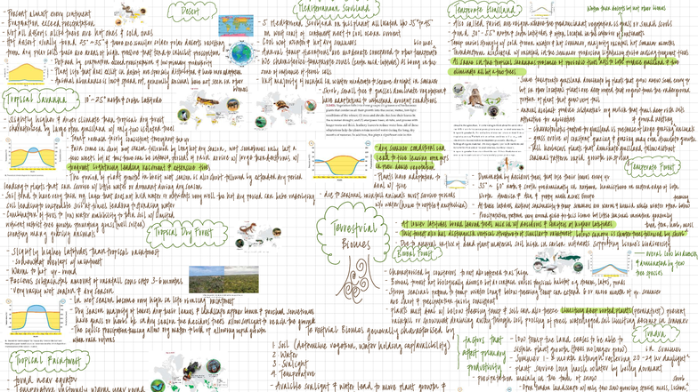 BIOB50 Lecture Notes: Terrestrial Biomes and Ecosystem Dynamics - Studocu