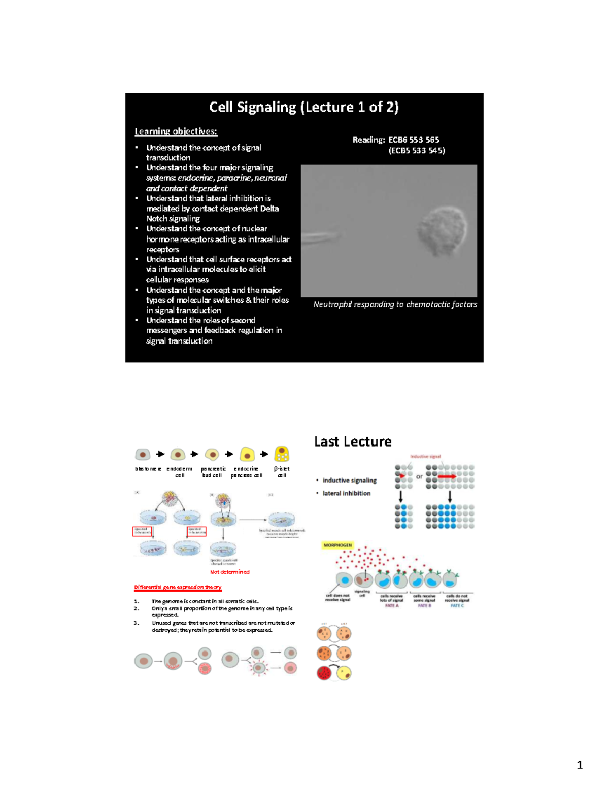 Cell Signaling Lecture 15: Mechanisms of Signal Transduction (ECB 553 ...