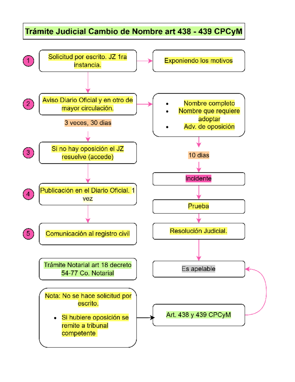 Esquemas completo - Trámite Judicial Cambio de Nombre art 438 439 CPCyM Solicitud por escrito ...