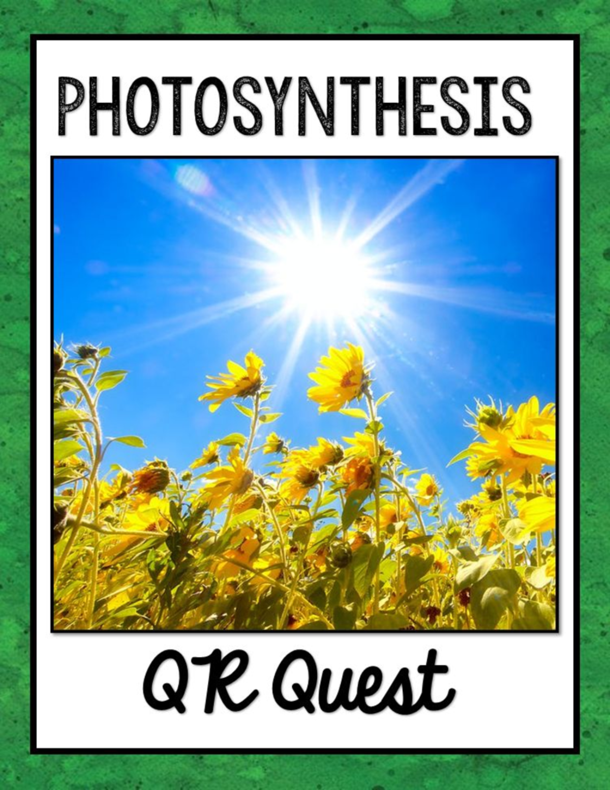 Photosynthesis QR Quest: Understanding Light Reactions & Calvin Cycle ...
