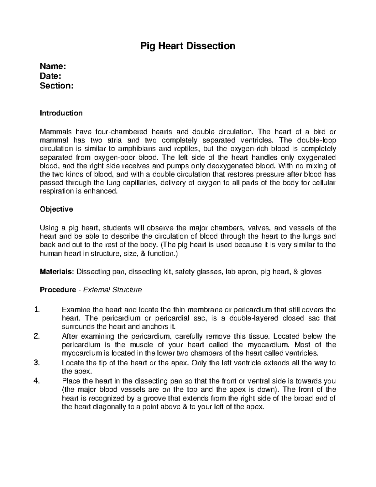 Pig Heart Dissection Lab Guide: Anatomy & Circulation Insights - Studocu