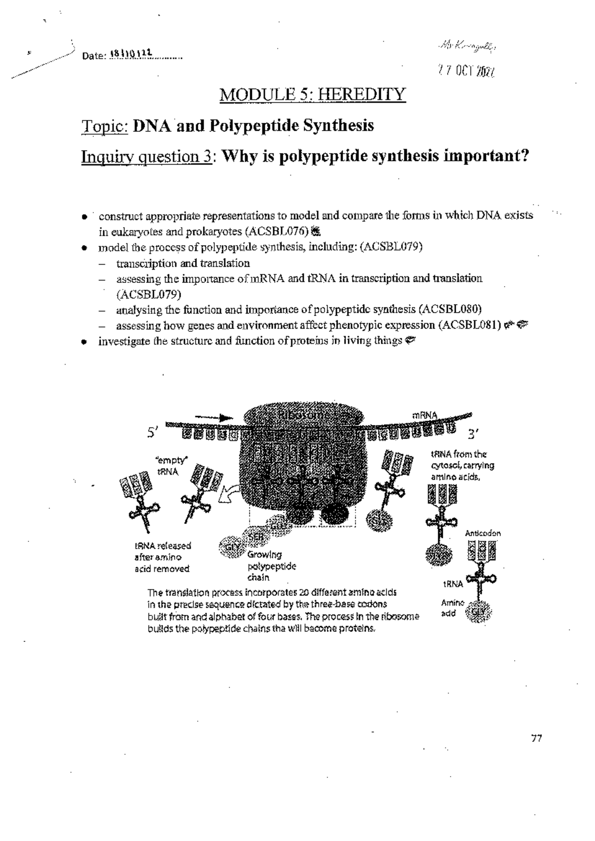 Inquiry 3: Importance of Polypeptide Synthesis in DNA & RNA (BIO101 ...