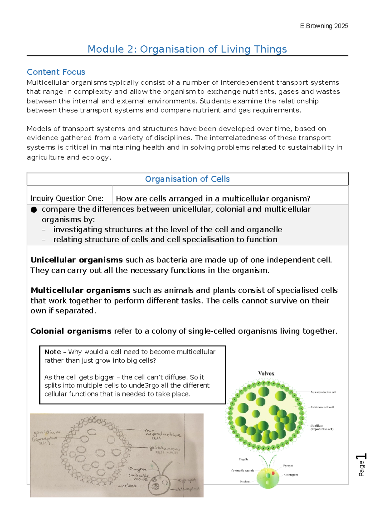 Module 2 Study Template Bio - 1 Module 2: Organisation of Living Things ...