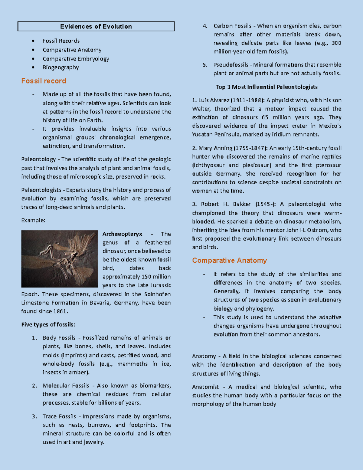 Evidences OF Evolution- Handout - Evidences of Evolution Fossil Records ...
