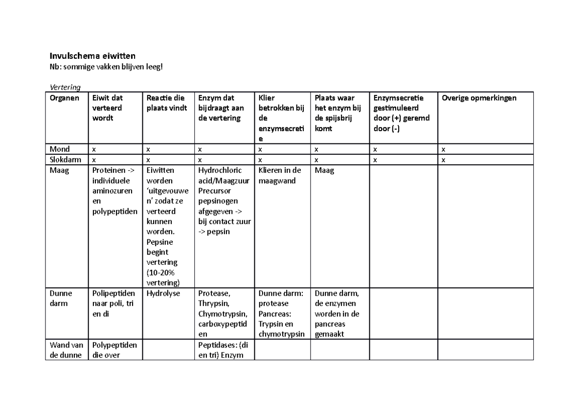 Eiwit Vertering en Opname: Invulschema voor Studie 2023 - Studeersnel