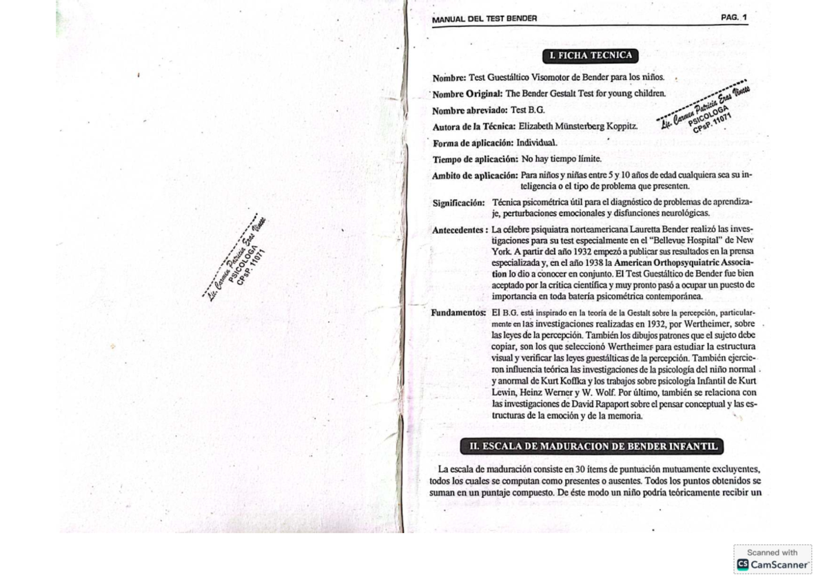 Manual del Test Bender: Evaluación Visomotora Infantil (CPSP 11071 ...