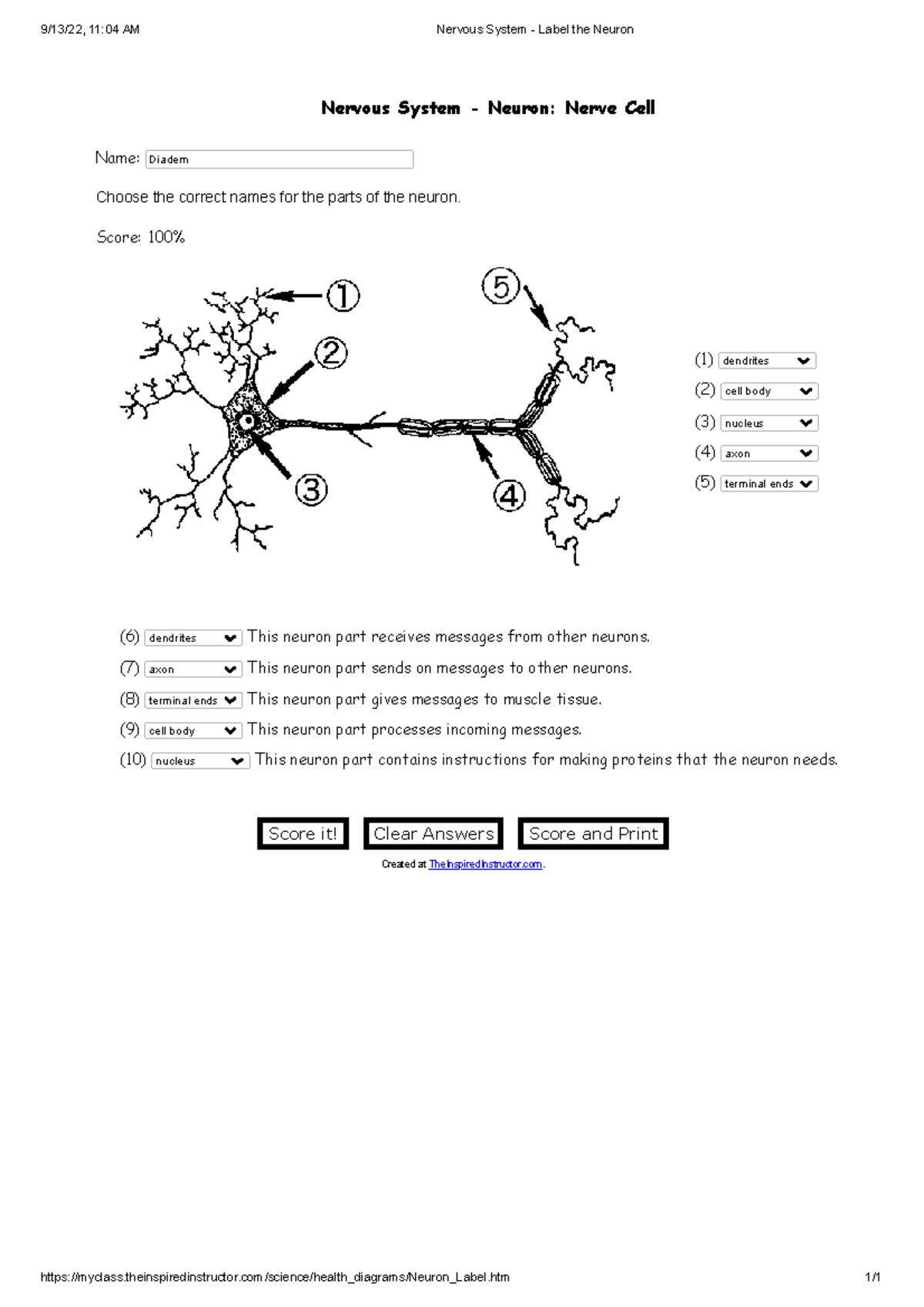 Nervous System - Label the Neuron (11:04 AM) - Studocu