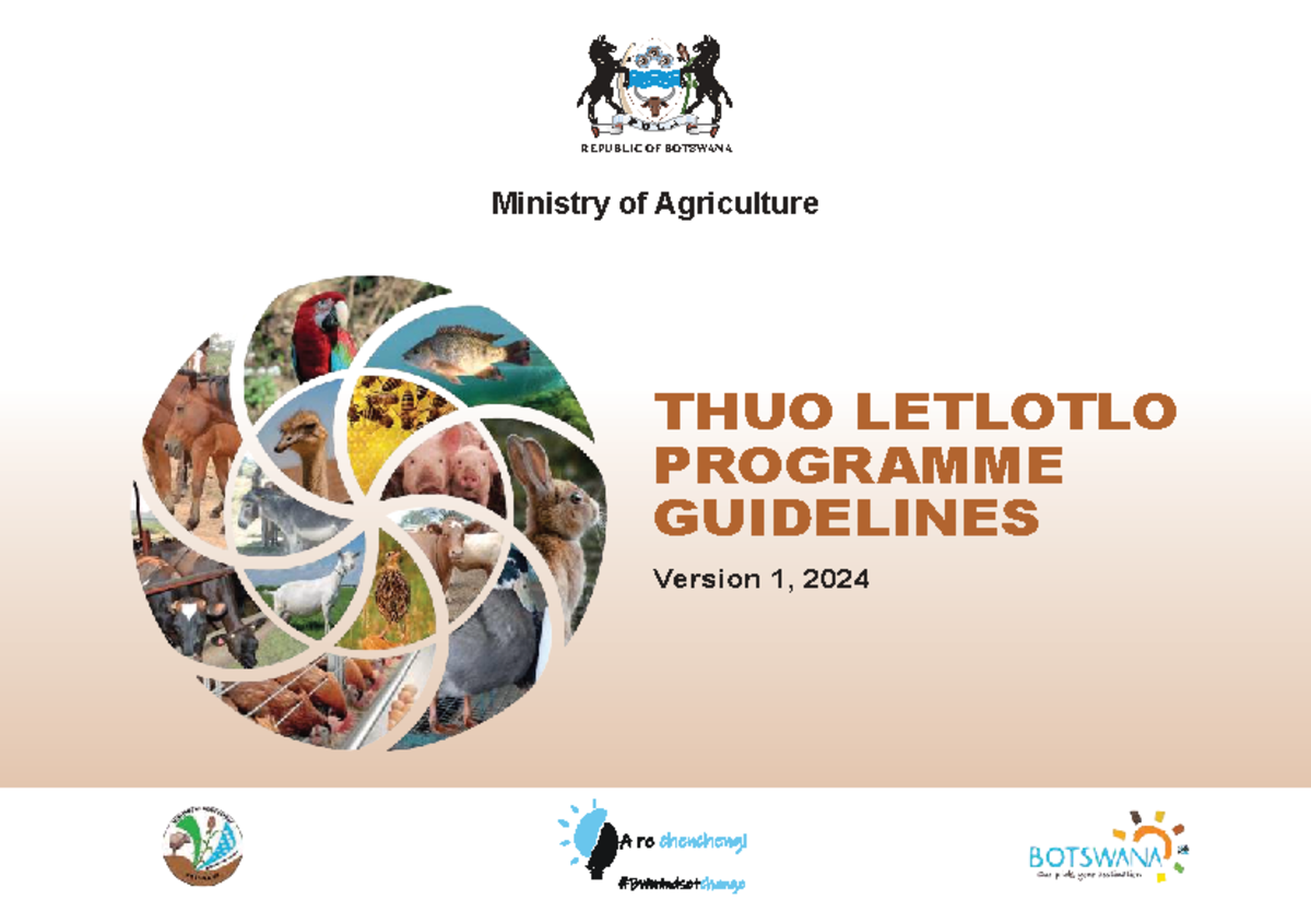 Thuo Letlotlo Programme Guidelines V1, 2024: Comprehensive Overview ...