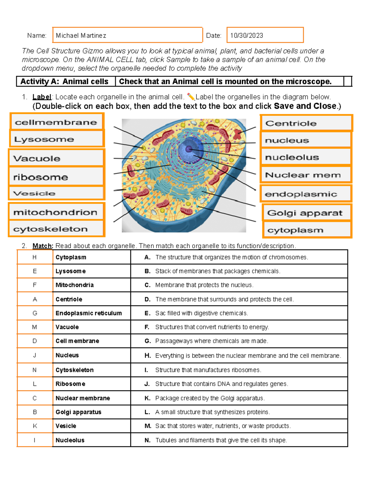 Cell Structure Gizmo Guide for Students (BIO101) - Studocu