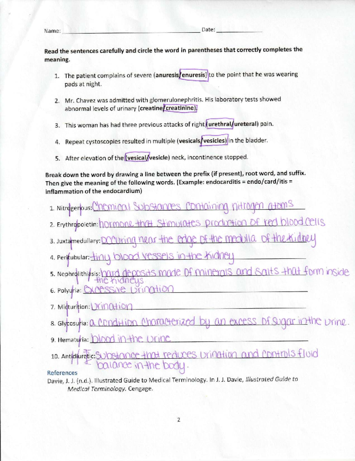 IMG 20250807 0002 - Urinary System Terminology Guide - Studocu