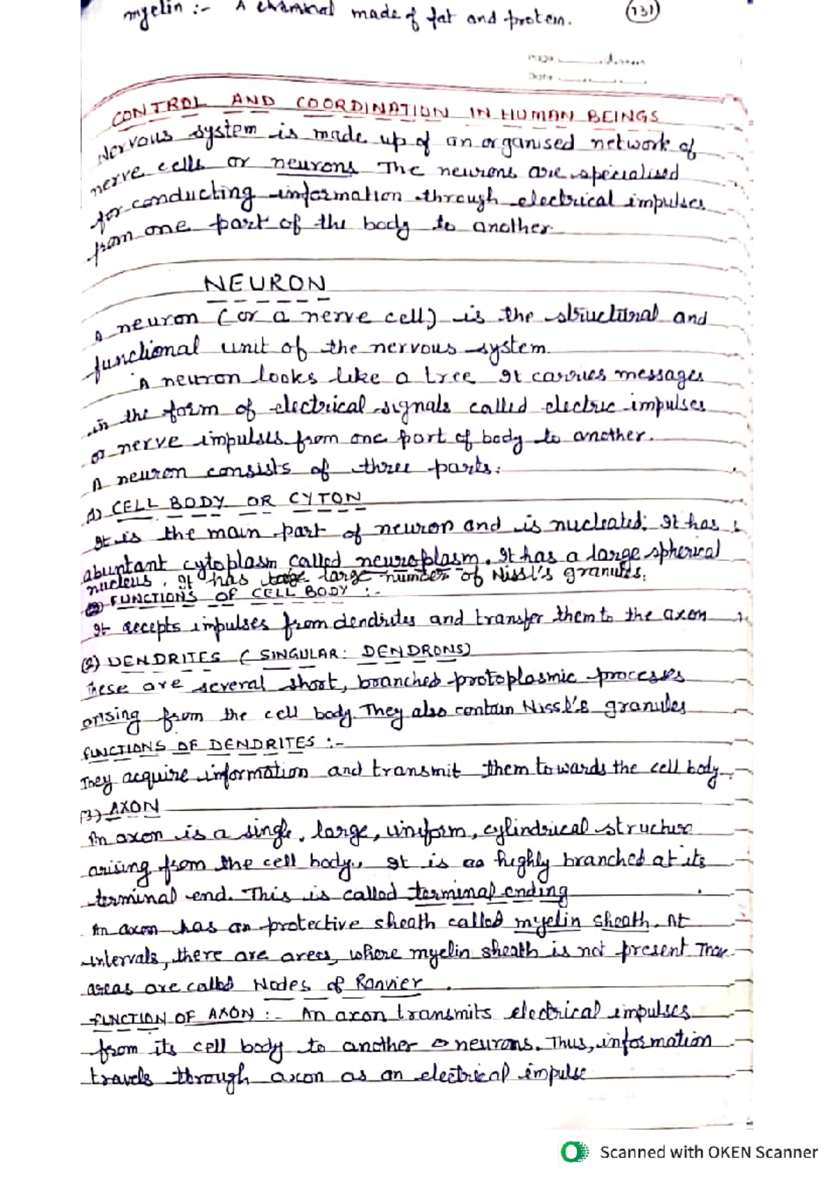 Control and Coordination in Human Beings: Nervous System Overview (131 ...