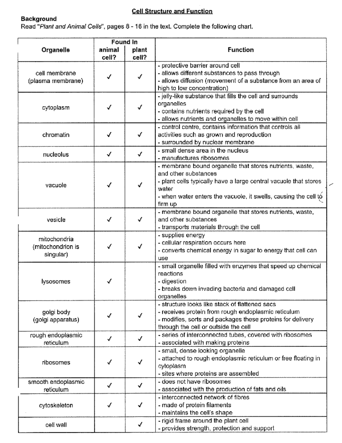 Science 101: Cell Structure and Function Overview - Studocu